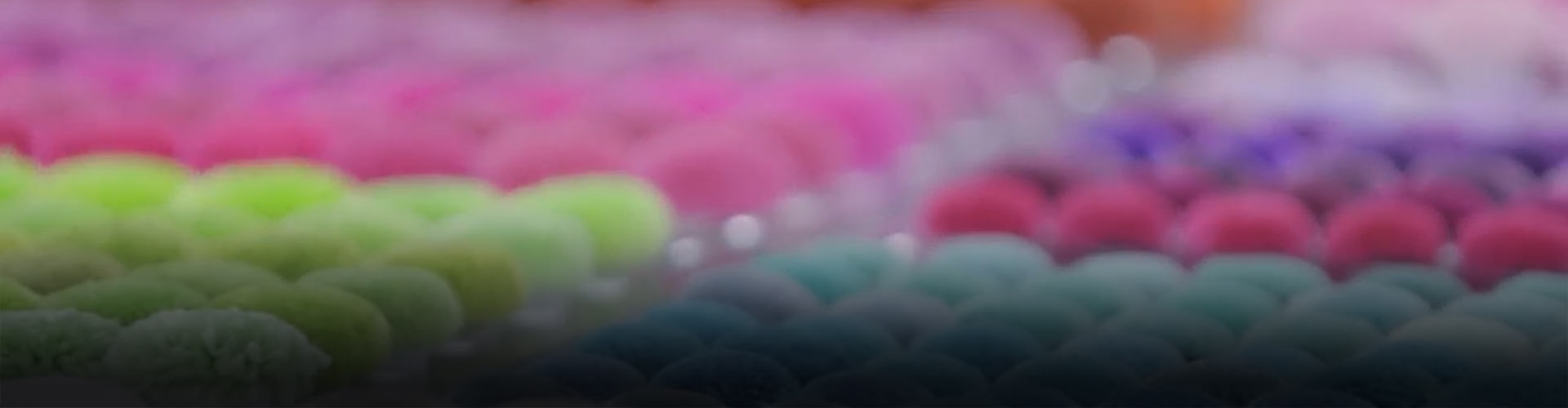 Контакты компании Global Colors